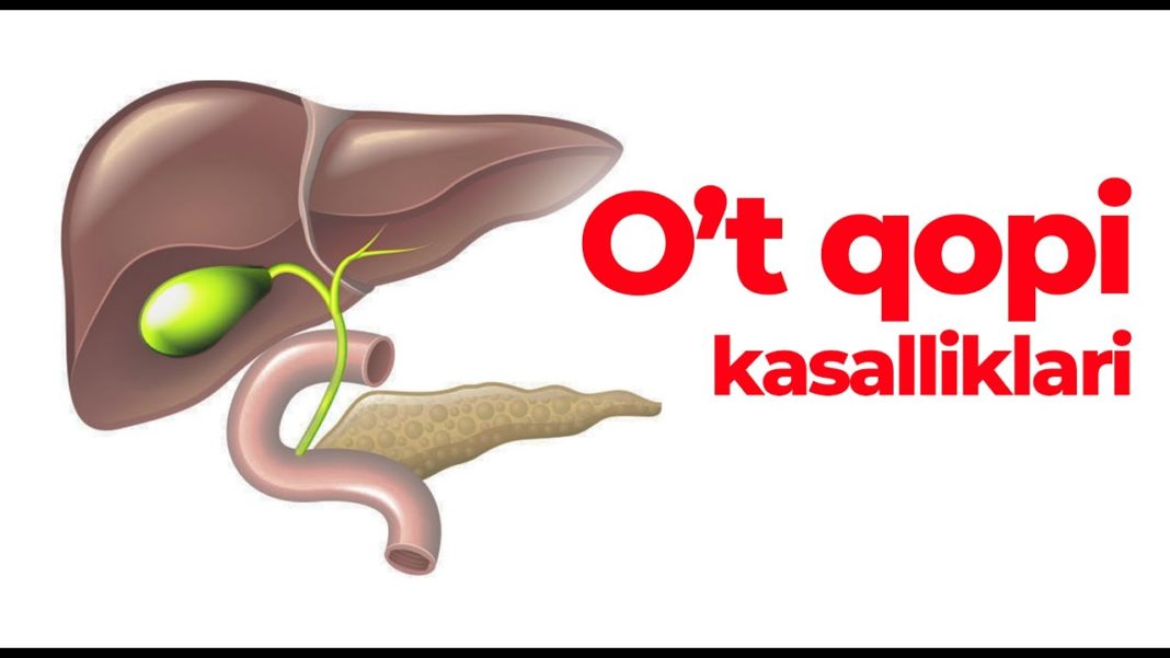 Oʼt qopi muammosi haqida – mbaza.uz